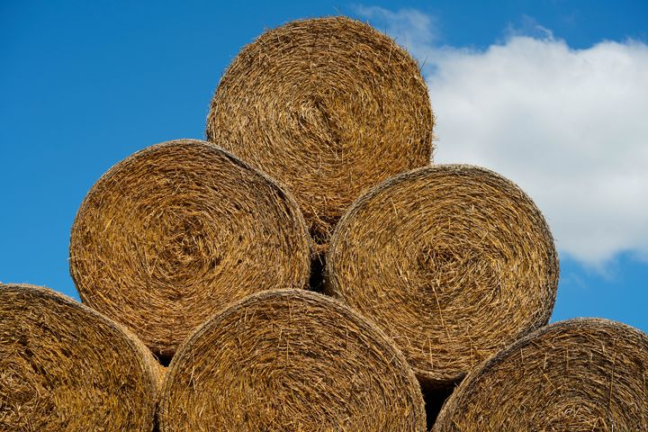 Hay Stacks - Bilge Paksoylu - Photography, Landscapes & Nature, Fields ...