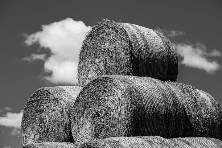 Black and White Hay Stacks - Bilge Paksoylu - Photography, Landscapes ...