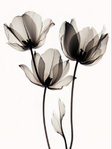 X Ray Translucent Petals - Bilge Paksoylu - Digital Art & AI, Flowers ...