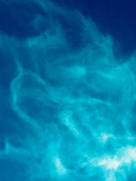 Red Panda Ghost Static - FatTabbyFarm - Photography, Landscapes ...