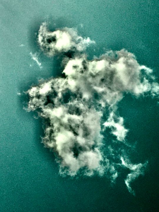 Cotton Catty - FatTabbyFarm - Photography, Landscapes & Nature ...