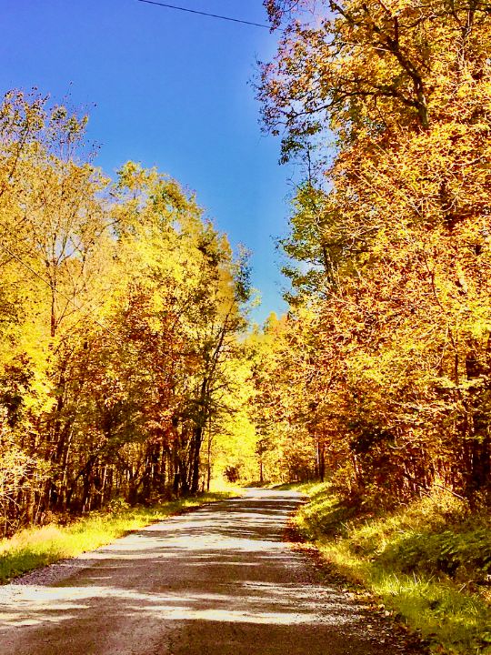 Early Fall Dirt rd - FatTabbyFarm - Photography, Landscapes & Nature ...