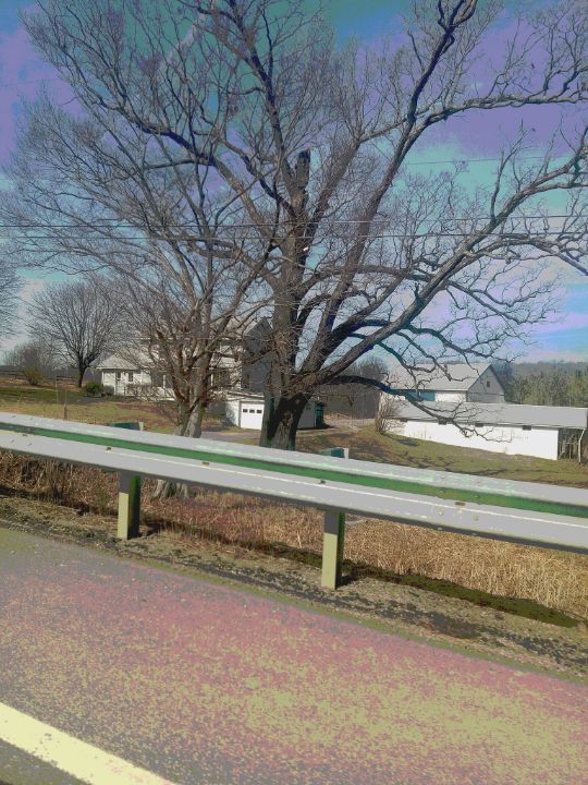 Busy Farm - FatTabbyFarm - Photography, Buildings & Architecture ...