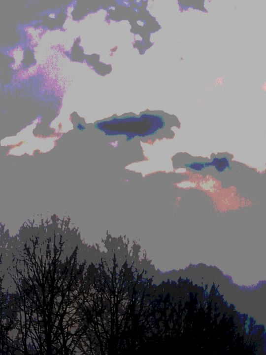 Darkening Forest - FatTabbyFarm - Photography, Landscapes & Nature ...