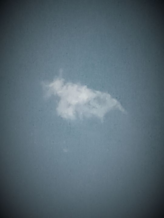 Sleeping Demon - FatTabbyFarm - Photography, Landscapes & Nature ...