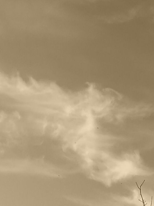 Chasing dragons - FatTabbyFarm - Photography, Landscapes & Nature ...