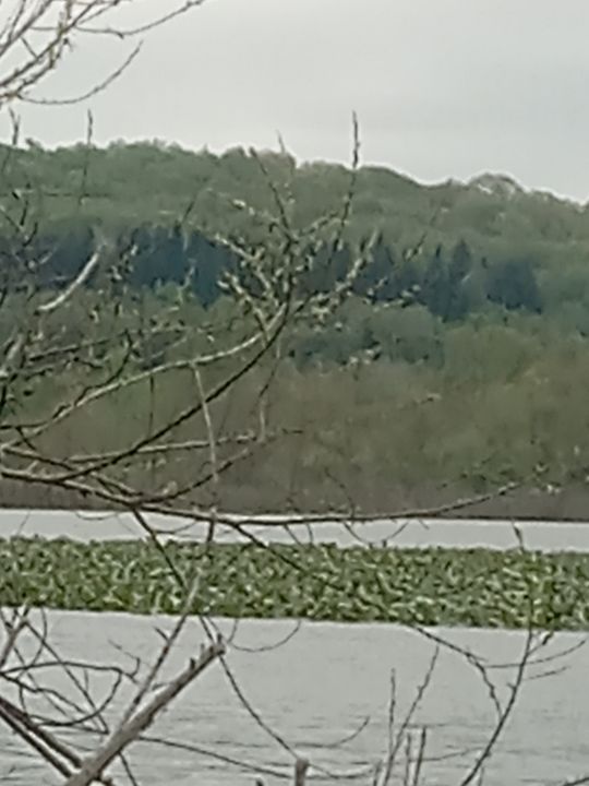 Glades West Sunbury Pa - FatTabbyFarm - Photography, Landscapes ...