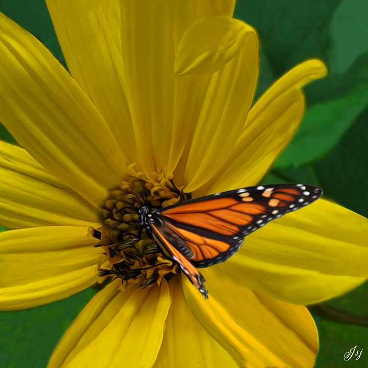 Monarch Flowers - JSJ Designs Studio - Paintings & Prints, Animals ...