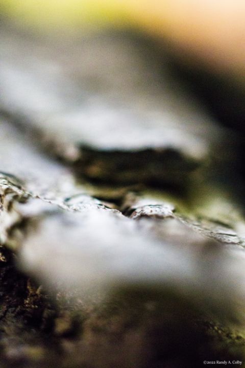 Abstract Log 01 - Randy Colby - Photography, Abstract, Other Abstract ...