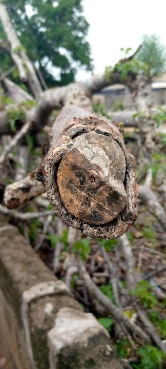 Repentance ect - Photography