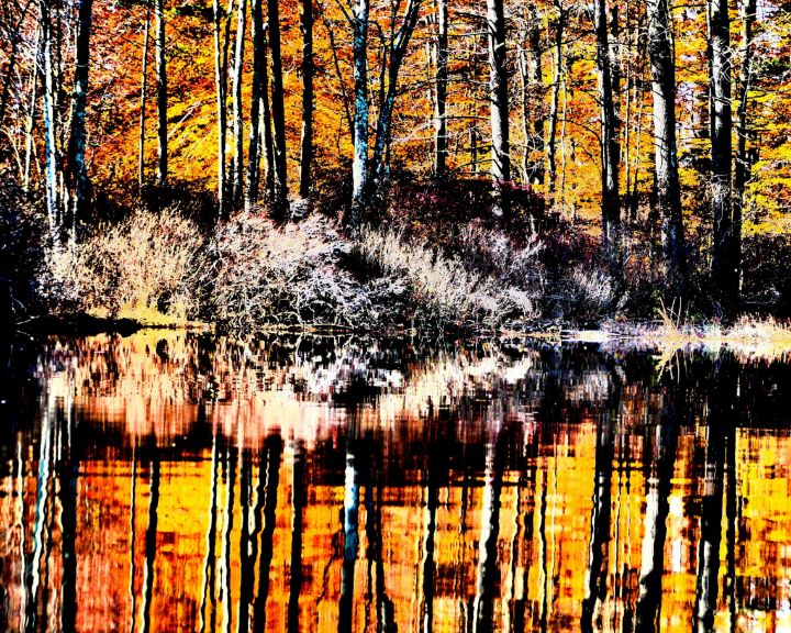 Yellow colored reflection with trees - Paul Vig Photography ...