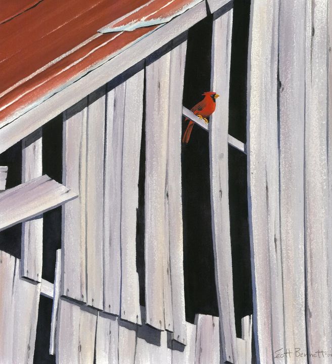 Redbird Perch - Scott Bennett Fine Art - Paintings & Prints, Animals ...