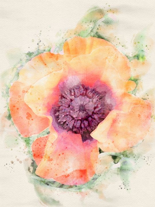 Poppy watercolor - CAPow Art & Design - Paintings & Prints, Flowers ...