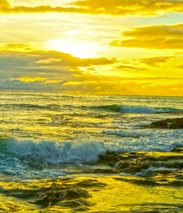 Just Another Perfect Day in Paradise - 360 Studios Fine Art - William ...