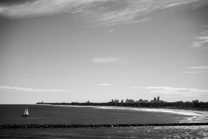 BW Under Cool Blue Skies - Florida - 360 Studios Fine Art - William ...