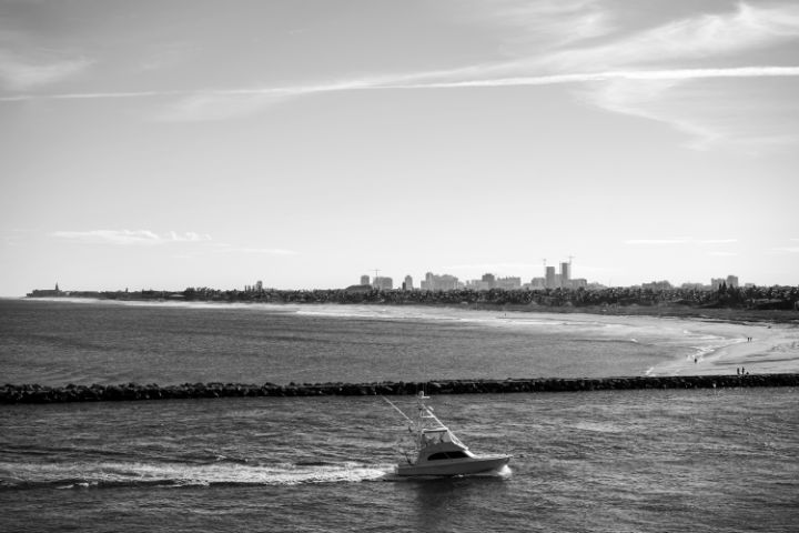 BW Birds of a Feather 1 of 2 - Yacht - 360 Studios Fine Art - William ...