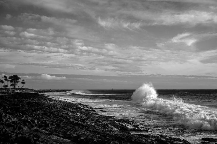 BW Beautiful Day at the Shore Hawaii - 360 Studios Fine Art - William ...