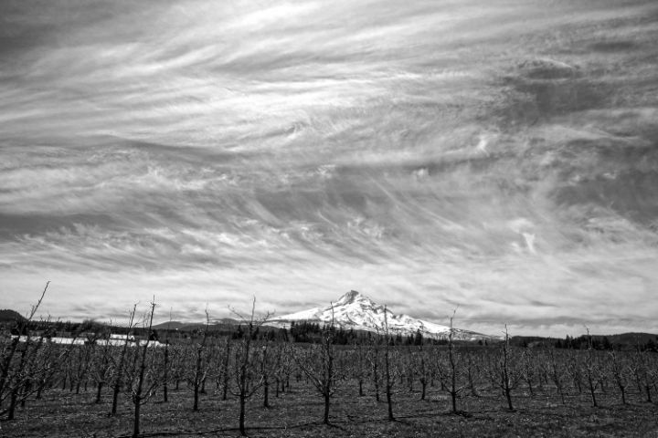 BW Mount Hood Under a Painted Sky - 360 Studios Fine Art - William ...