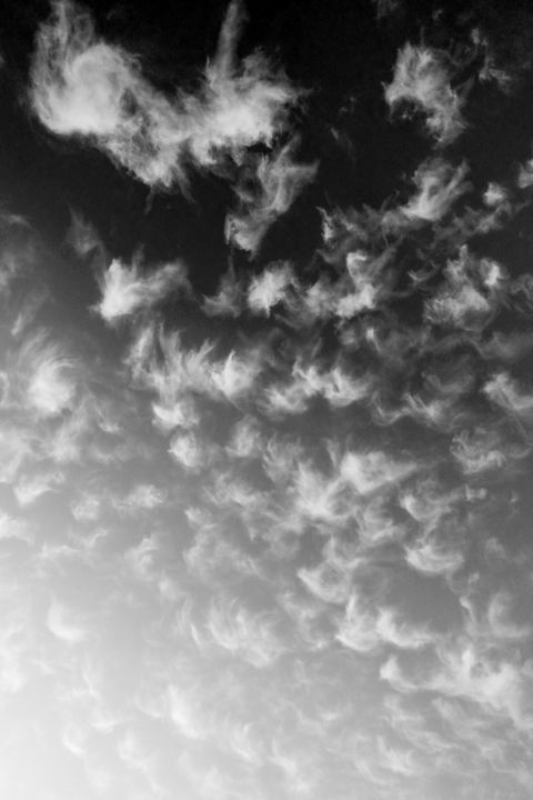 BW Pink & White Cotton Candy Skies 1 - 360 Studios Fine Art - William ...