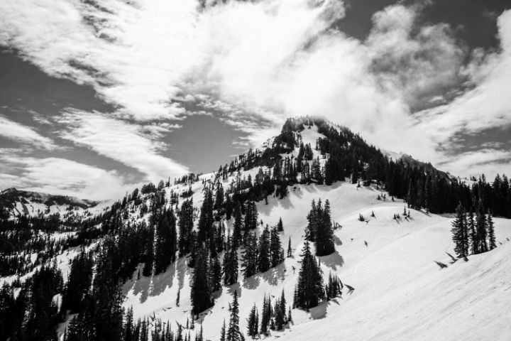 BW Powder - 360 Studios Fine Art - William Robert Stanek - Photography ...