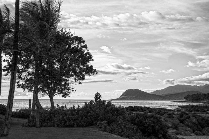 BW Sunset over the Bay Oahu Hawaii - 360 Studios Fine Art - William ...