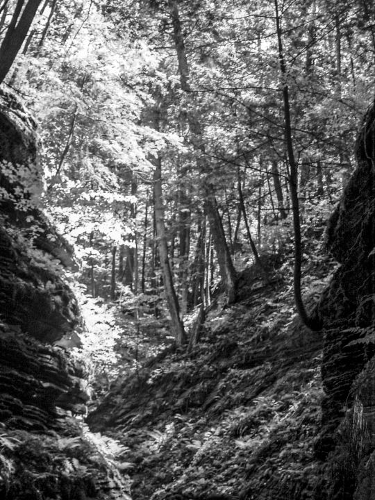 BW Vintage The Dells Wisconsin 7/10 - 360 Studios Fine Art - William ...