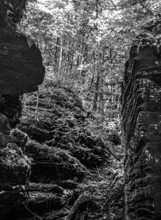 BW Vintage The Dells Wisconsin 9/10 - 360 Studios Fine Art - William ...
