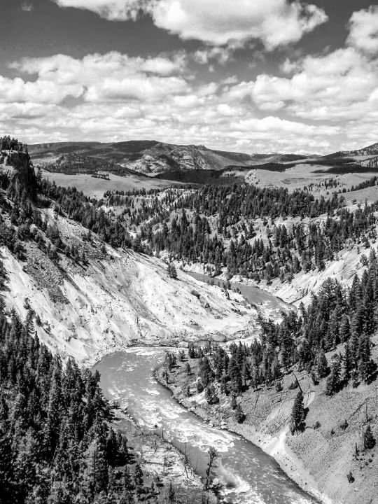 BW Vintage Yellowstone River - 360 Studios Fine Art - William Robert ...