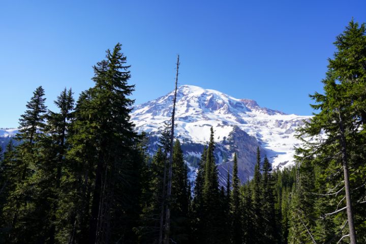 Mount Rainier PNW - 360 Studios Fine Art - William Robert Stanek ...