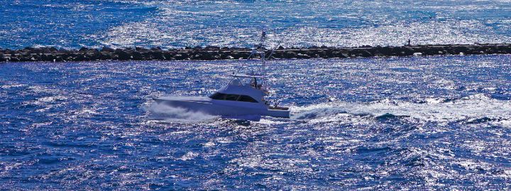 In the Blue Blue Sea - 360 Studios Fine Art - William Robert Stanek ...