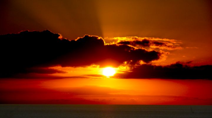 Bold - Sunset in the Tropics - 360 Studios Fine Art - William Robert ...