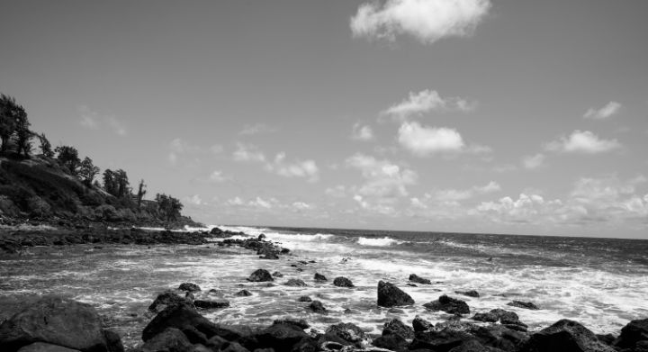 BW Beautiful Day at the Bay in Kauai - 360 Studios Fine Art - William ...