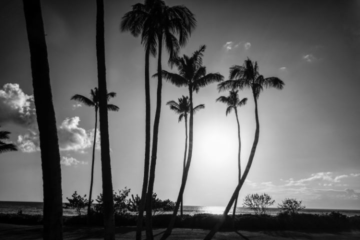 BW Clear Day Sunset Hawaiian Islands - 360 Studios Fine Art - William ...