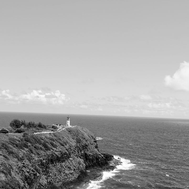 BW Kilauea Lighthouse in Spring - 360 Studios Fine Art - William Robert ...
