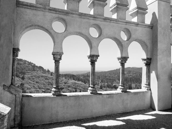 BW Shadows and Sunlight - Palace - 360 Studios Fine Art - William ...