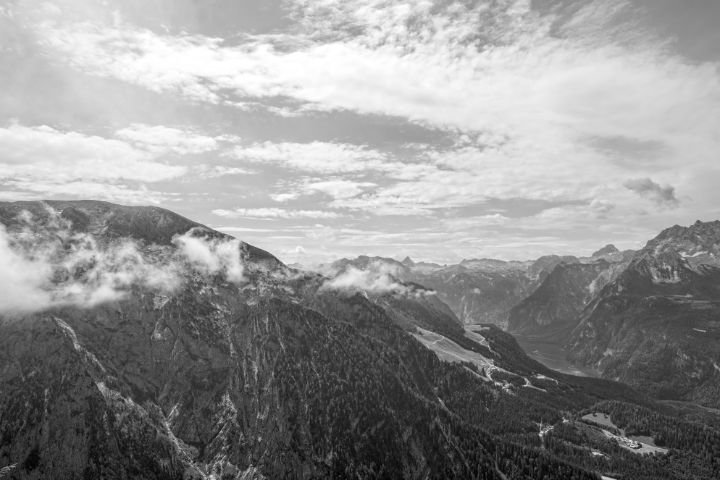 BW Tangled in Mist Berchtesgaden Alp - 360 Studios Fine Art - William ...