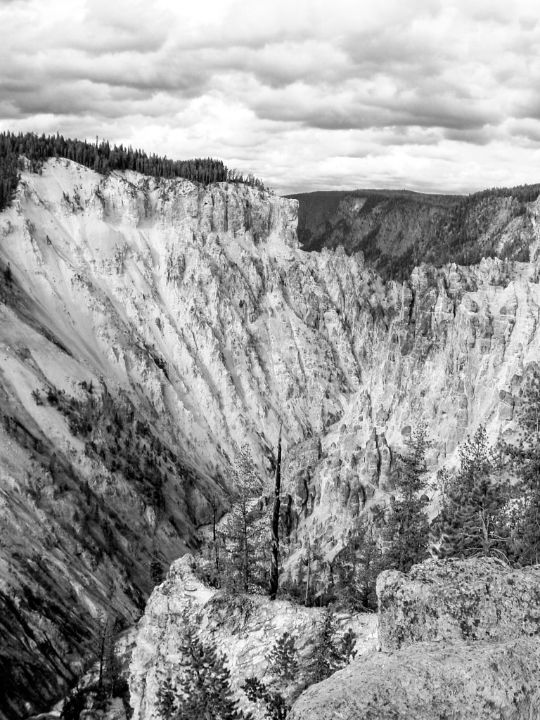 BW Vintage Gorgeous View Yellowstone - 360 Studios Fine Art - William ...