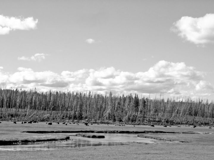 BW Vintage One Day at Yellowstone 4 - 360 Studios Fine Art - William ...