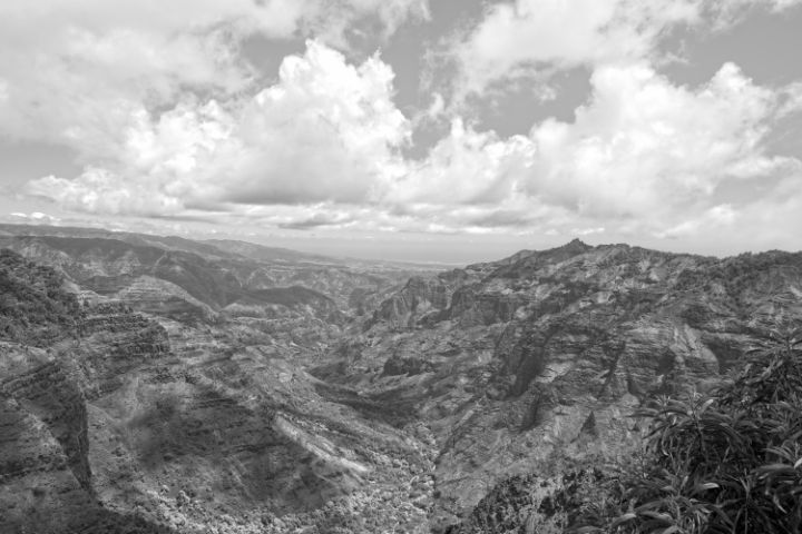 BW Waimea Canyon the Pacific Ocean - 360 Studios Fine Art - William ...