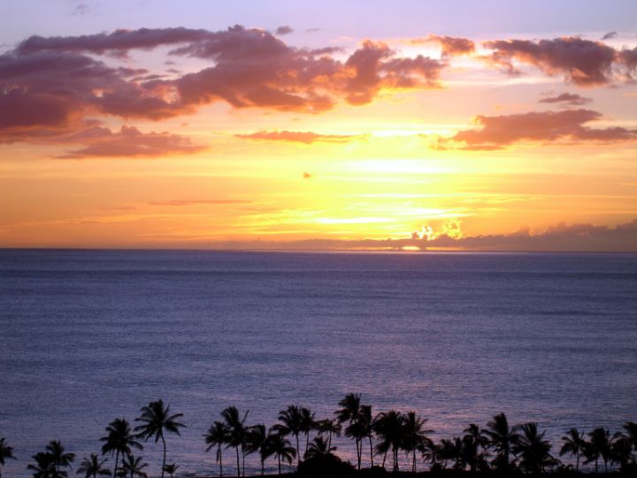 Golden Hawaii - 360 Studios Fine Art - William Robert Stanek ...