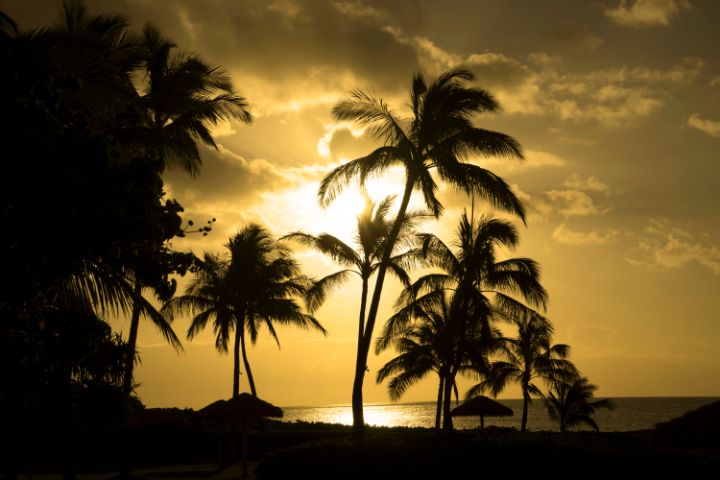 Paradise Dreams - Sunset Hawaii - 360 Studios Fine Art - William Robert ...