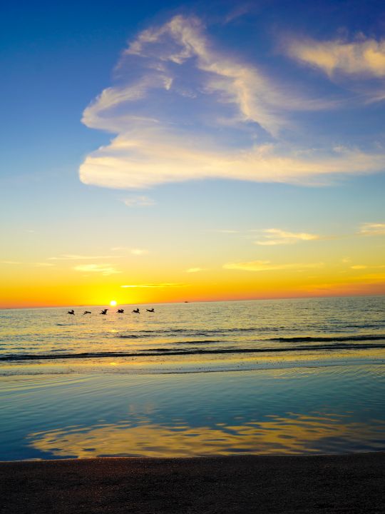 Serenity by the Seashore PORTRAIT - 360 Studios Fine Art - William ...