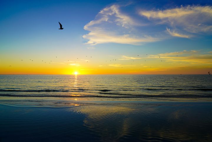 Sky Dance - Soothing Fall Sunset - 360 Studios Fine Art - William ...