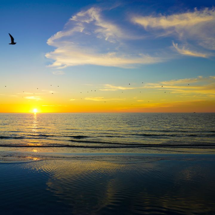 Sky Dance SQUARE - Soothing Fall Sun - 360 Studios Fine Art - William ...