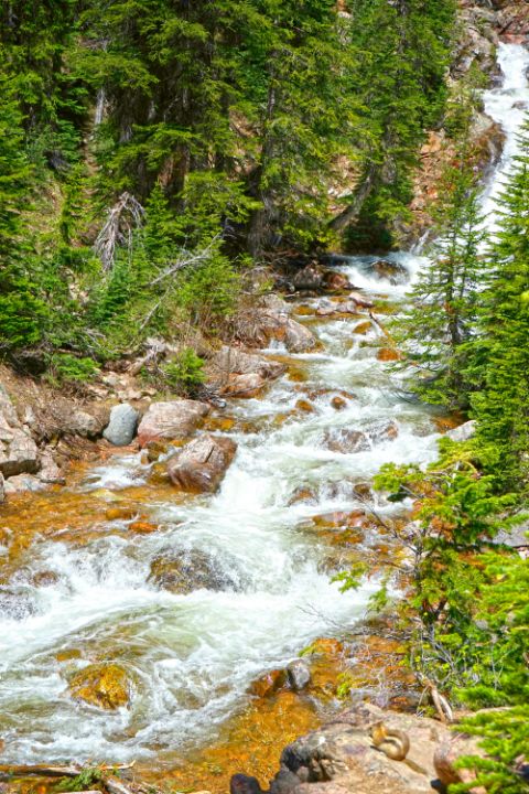 Spring Runoff and a Chipmunk - 360 Studios Fine Art - William Robert ...