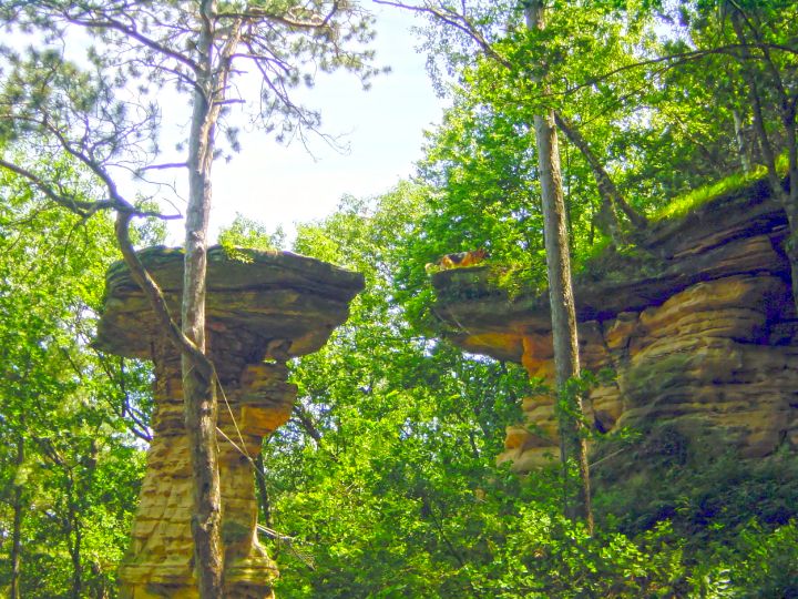 Vintage - Rugged Wisconsin Dells 3 - 360 Studios Fine Art - William ...