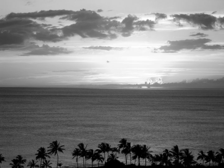 BW Golden Hawaii - 360 Studios Fine Art - William Robert Stanek ...