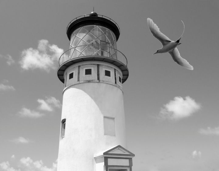 BW Kilauea Lighthouse and Refuge - 360 Studios Fine Art - William ...
