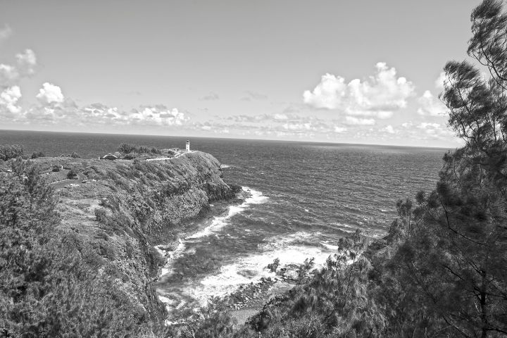 BW Kilauea Lighthouse in Spring - 360 Studios Fine Art - William Robert ...