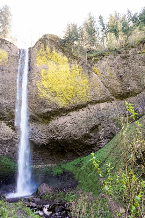 The Falls in Spring - Columbia River - 360 Studios Fine Art - William ...
